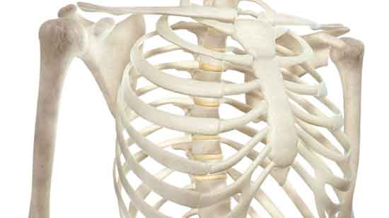 6 Ursachen für einen unebenen Brustkorb und wie man ihn repariert