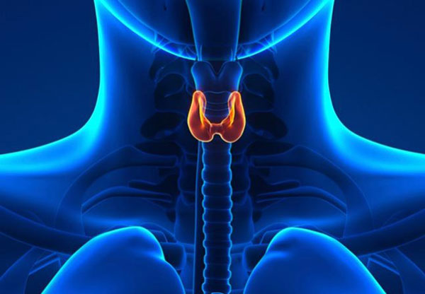 subklinische Hypothyreose: Behandlung, Symptome, Ernährung